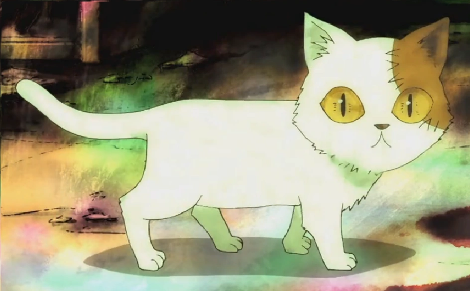 Seto | Wiki Pupa | Fandom