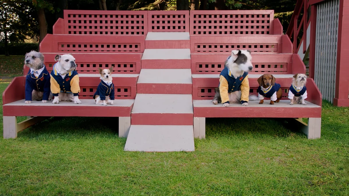 Cooking Up Trouble | Pup Academy Wiki | Fandom