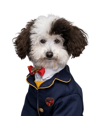 Whiz | Pup Academy Wiki | Fandom