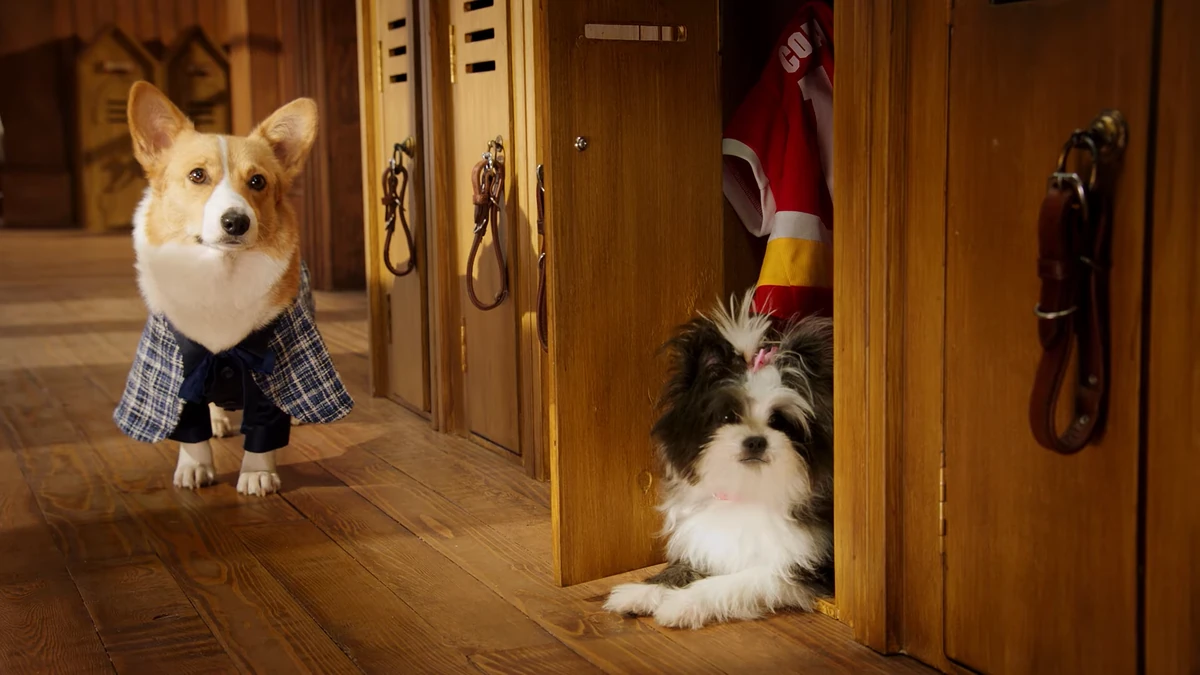 Oopsie! | Pup Academy Wiki | Fandom