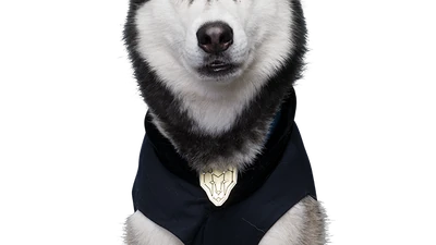 Discuss Everything About Pup Academy Wiki | Fandom