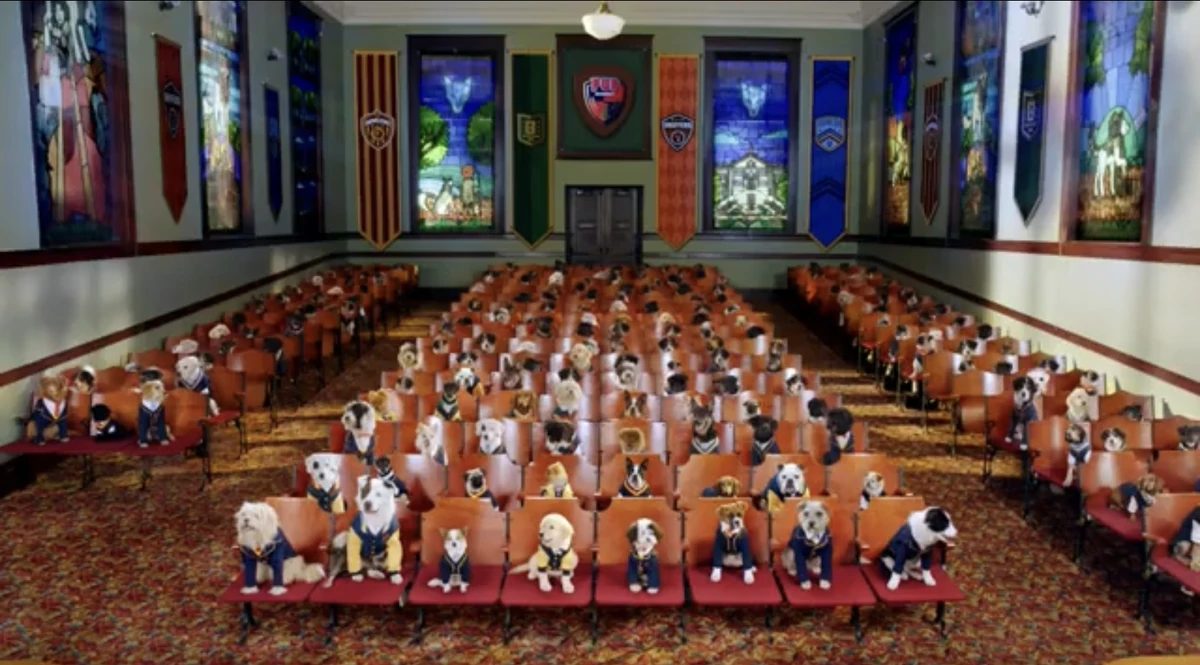 The School Howl | Pup Academy Wiki | Fandom