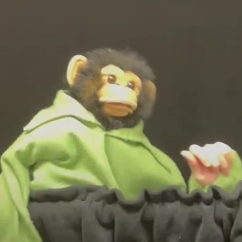 Alternate Costume Monkey | Puppet Club Wiki | Fandom