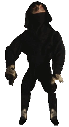 Ninja/Puppet | Puppet master Wiki | Fandom