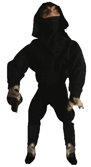 Puppet Master Axis Of Evil Ninja