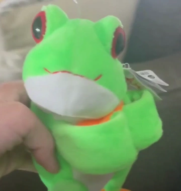 Froggy Boy | Puppet Town Wiki | Fandom