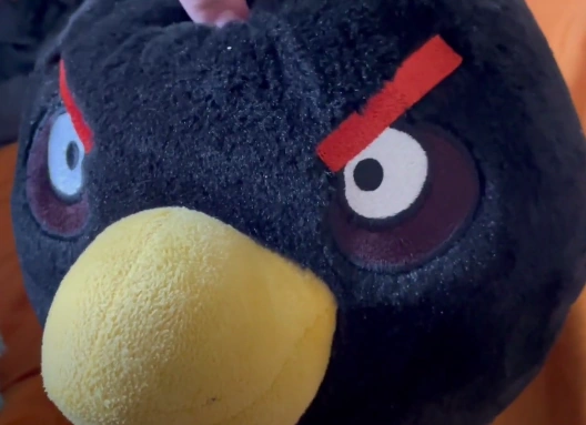 Angry Bird | Puppet Town Wiki | Fandom