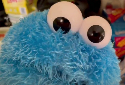Cookie Monster | Puppet Town Wiki | Fandom