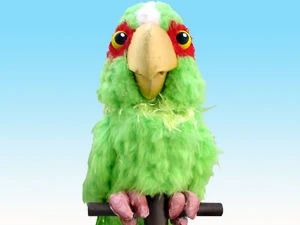 Parrot | Puppet Wiki | Fandom