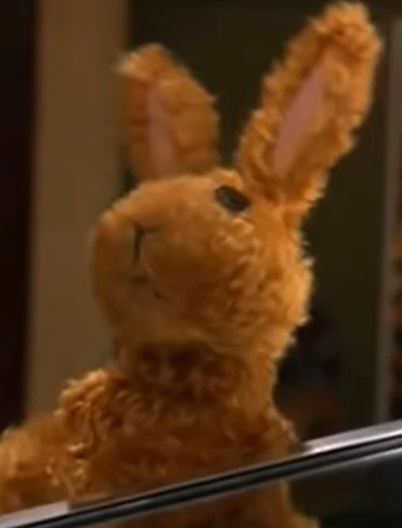 Greg the Bunny (character) | Puppet Wiki | Fandom