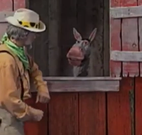 Donkey Dan | Puppet Wiki | Fandom