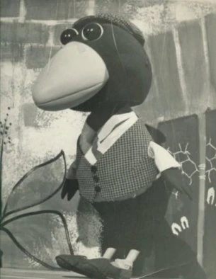 Caraway Crow | Puppet Wiki | Fandom