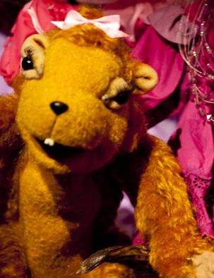 Gertie the Gopher | Puppet Wiki | Fandom