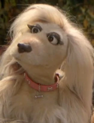 Destiny | Puppet Wiki | Fandom