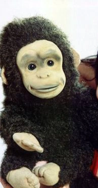 Monkey (Ventriloquist) | Puppet Wiki | Fandom