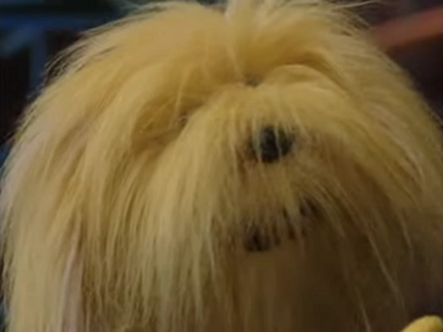 Shaggy (Wimzie's House) | Puppet Wiki | Fandom