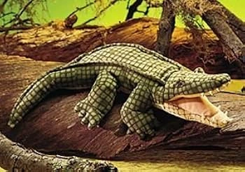 Alligator (Folkmanis Puppet) | Puppet Wiki | Fandom