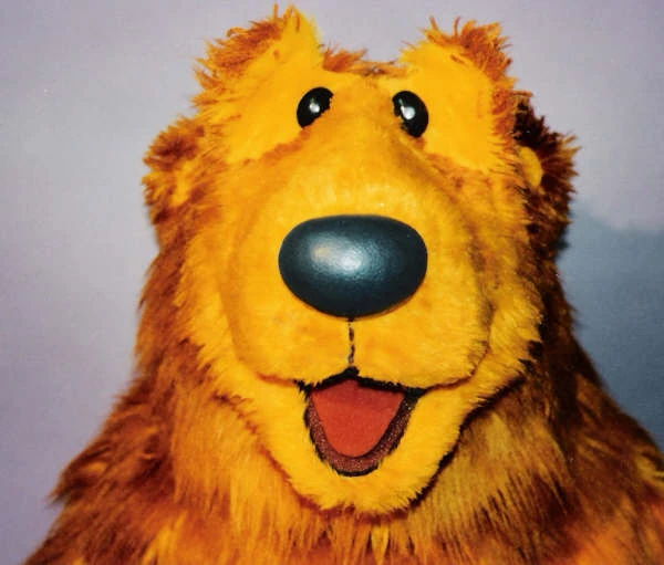 Bear (Disambiguation Page) | Puppet Wiki | Fandom