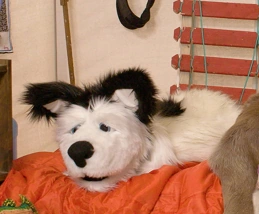 Qimmiq | Puppet Wiki | Fandom