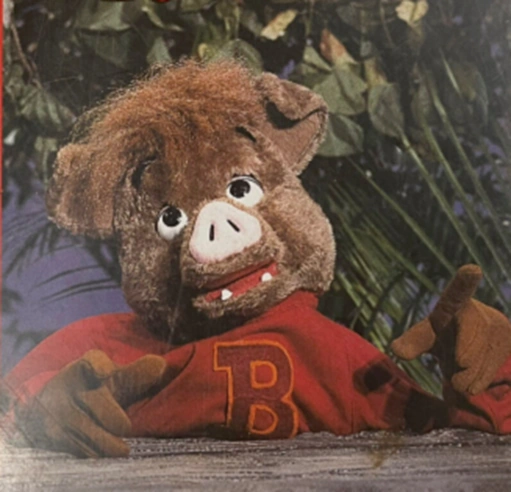 Bobby Q. | Puppet Wiki | Fandom