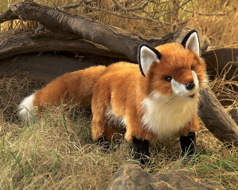 Red Fox | Puppet Wiki | Fandom