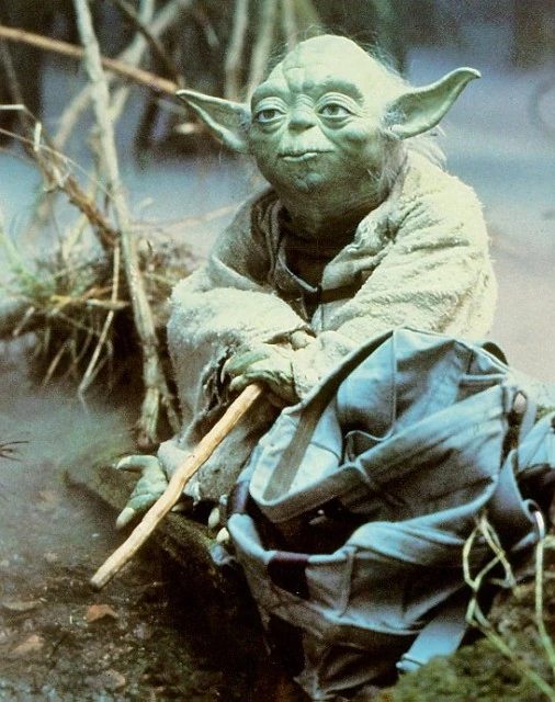 Yoda | Puppet Wiki | Fandom