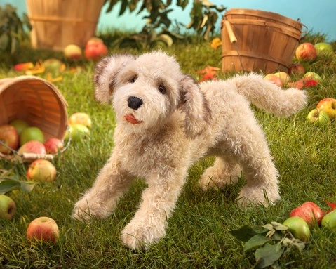 Labradoodle (Folkmanis Puppet) | Puppet Wiki | Fandom