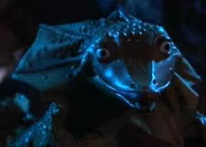 Rocky the Frilled-Neck Lizard | Puppet Wiki | Fandom