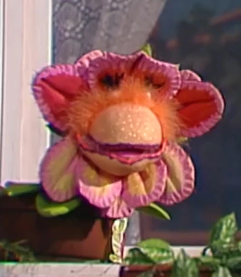 Zelda (Flower) | Puppet Wiki | Fandom