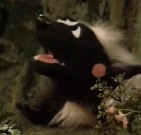 Rosie the Skunk | Puppet Wiki | Fandom
