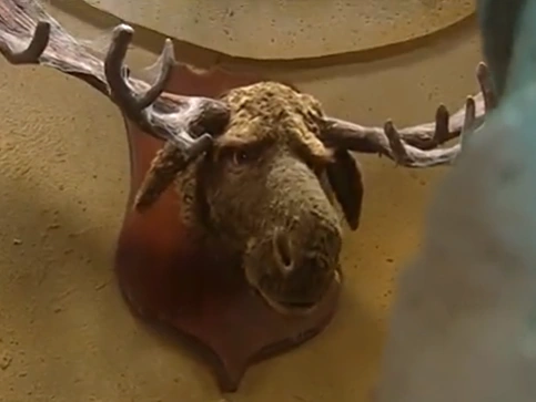 Bruce the Moose | Puppet Wiki | Fandom