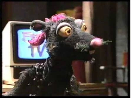 Rattus Pamela Rattus | Puppet Wiki | Fandom