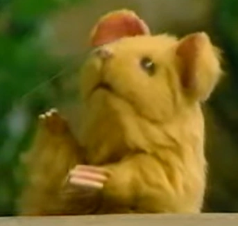 Maple | Puppet Wiki | Fandom