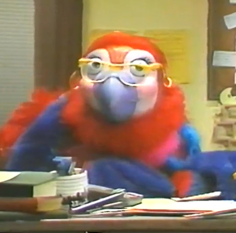 D.J. Macaw | Puppet Wiki | Fandom