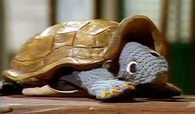 George the Tortoise | Puppet Wiki | Fandom