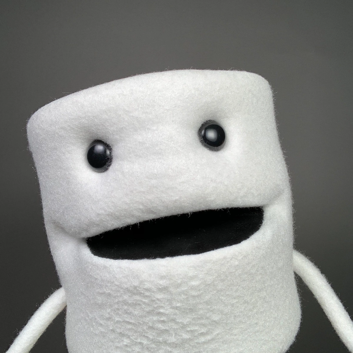 Toiley T. Paper | Puppet Wiki | Fandom