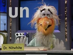 Category:Birds | Puppet Wiki | Fandom