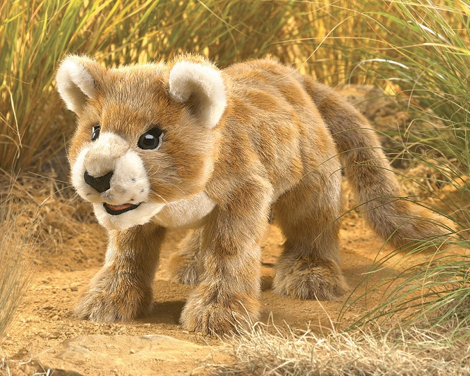African Lion Cub | Puppet Wiki | Fandom