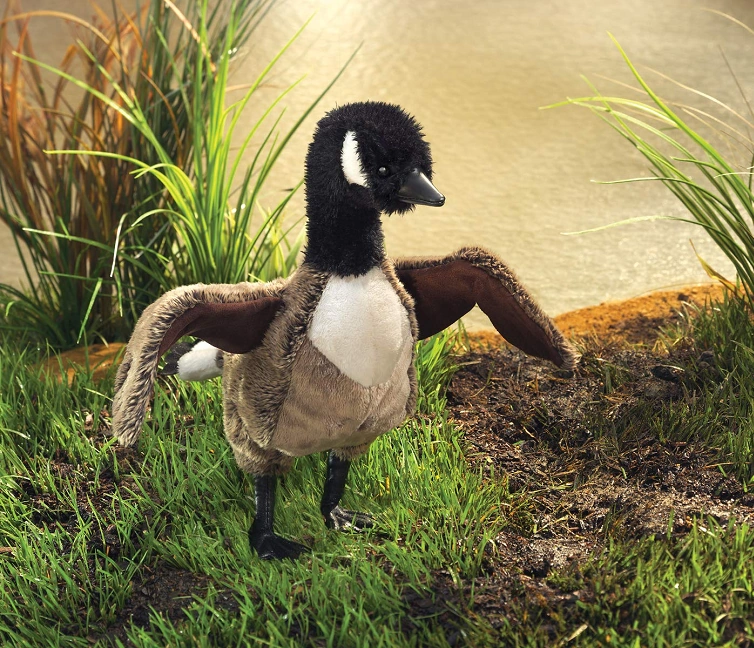 Canada Goose | Puppet Wiki | Fandom