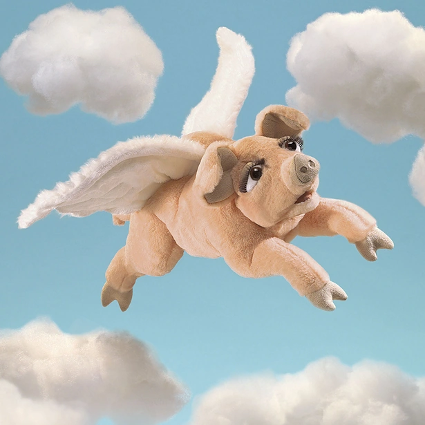 Flying Pig (Folkmanis Puppet) | Puppet Wiki | Fandom