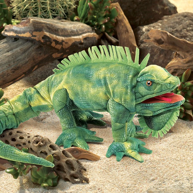 Iguana (Folkmanis Puppet) | Puppet Wiki | Fandom