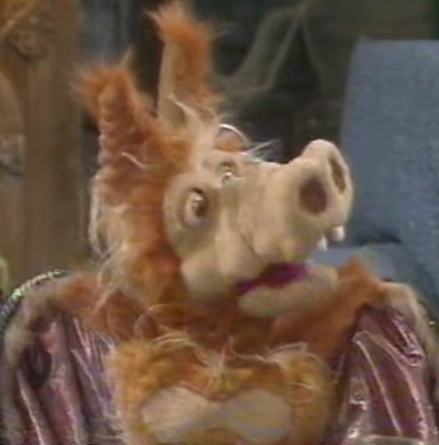 Colin the Bat | Puppet Wiki | Fandom