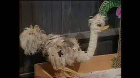 Octavia Ostrich | Puppet Wiki | Fandom