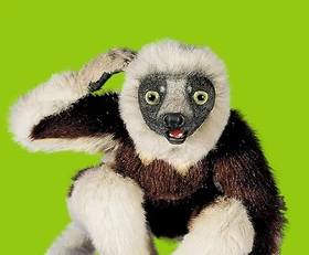 Zoboomafoo (character) | Puppet Wiki | Fandom