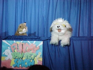 Funday PawPet Show | Puppet Wiki | Fandom