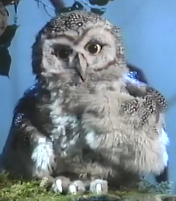 Mrs. Peepers | Puppet Wiki | Fandom