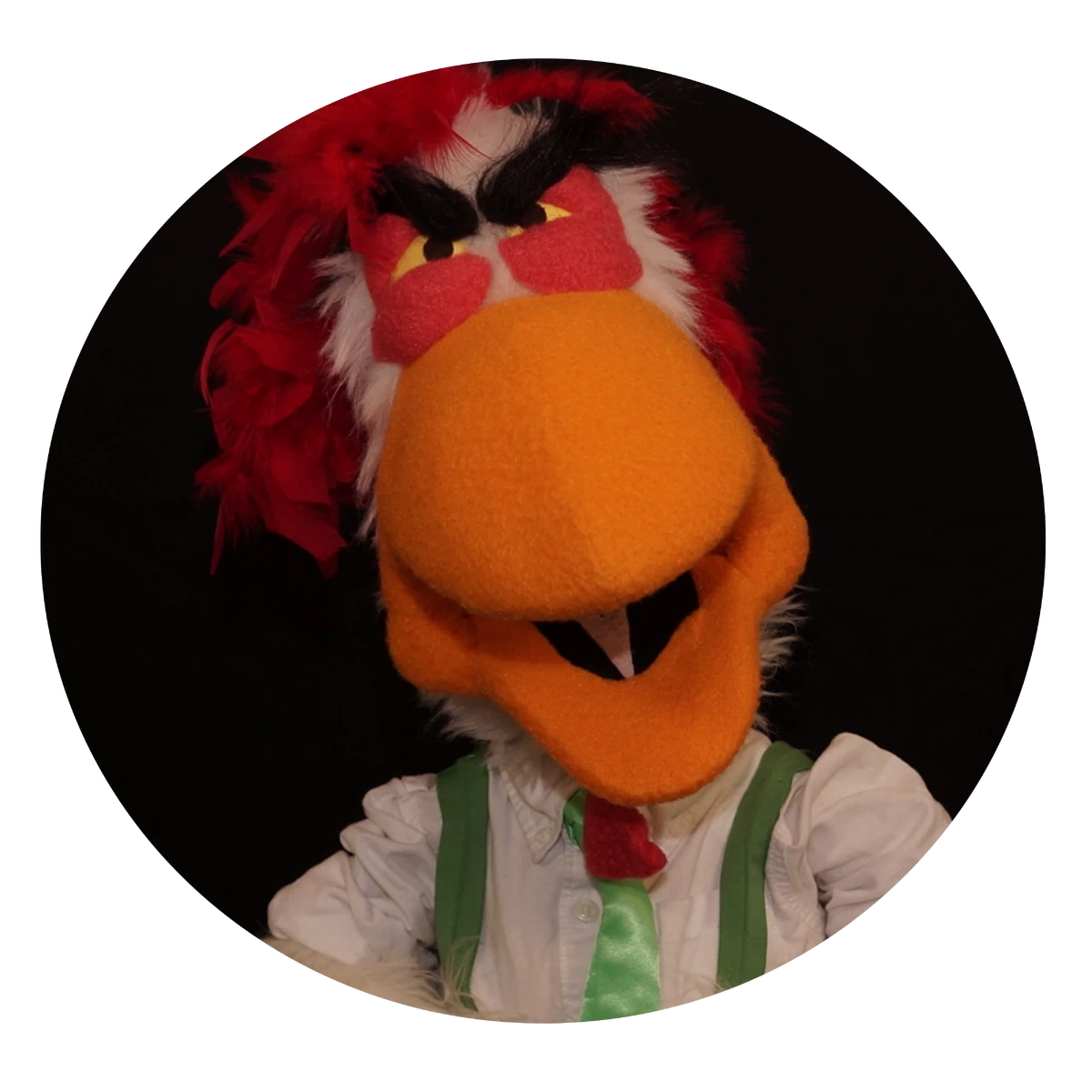 Sampy Chicker | Puppet Wiki | Fandom