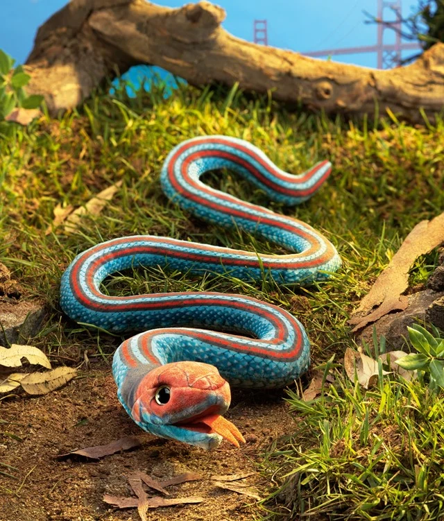 San Francisco Garter Snake | Puppet Wiki | Fandom
