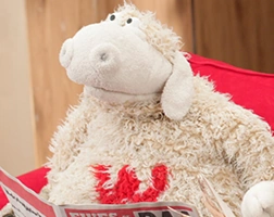 Wooly the Sheep | Puppet Wiki | Fandom
