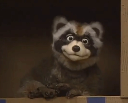 Jackson the Raccoon | Puppet Wiki | Fandom